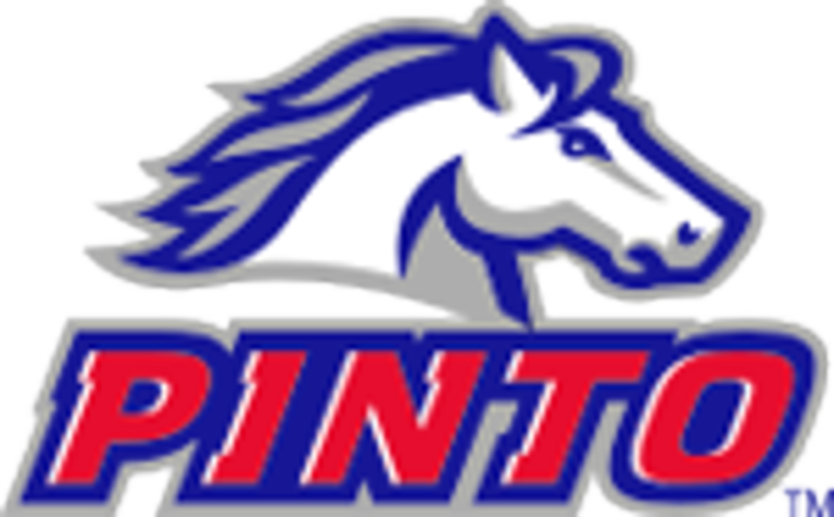 Pinto - lacostayouthorganization